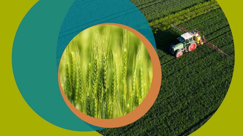 Agricultural crops - online library of lections from PRO Agro Lectorium