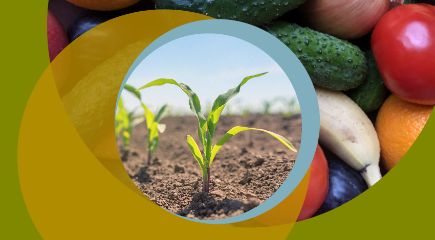 Vladimir Nosov - Heavy metals in phosphate fertilizers - online library ...