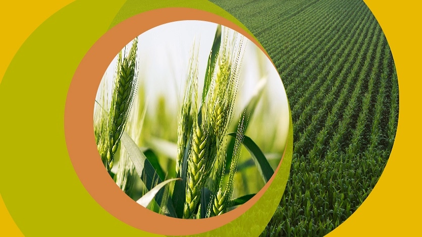 Adele Maria Muscolo - ProAgro Lectorium.